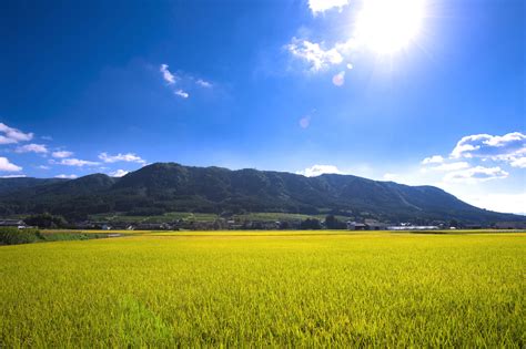万年山
