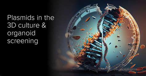 Plasmids In 3d Culture And Organoid Screening