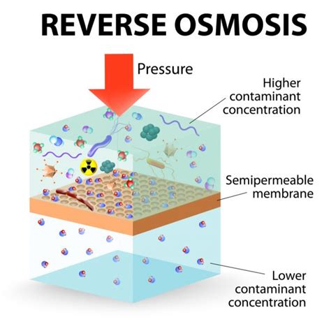 Does Reverse Osmosis Work The Results Are In And The Answer Is Clear