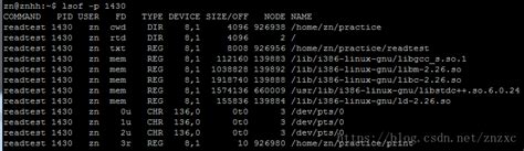 查看某个进程打开的文件及文件描述符查看进程打开的所有文件描述符 Csdn博客 查看某个进程打开的文件及文件描述符查看进程打开的所有文件描述符 Csdn博客