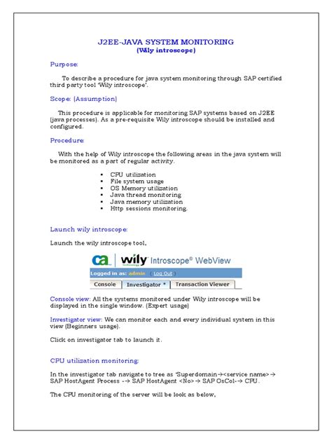 Monitoring Sap Using Wily Pdf Java Programming Language Thread Computing