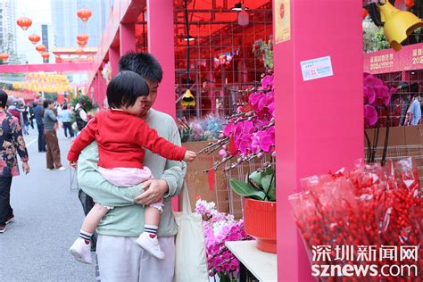 年味罗湖｜行花街正当时！盘点深圳人的“年味”瞬间深圳新闻网