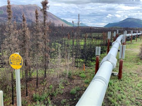 I Felt A Bit Emotional This Truly Was The End The Final Ride Of This Adventure The Irish Times