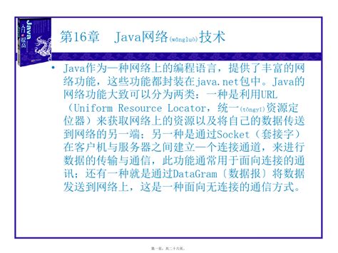 第16章 Java网络技术共26张pptword文档在线阅读与下载无忧文档