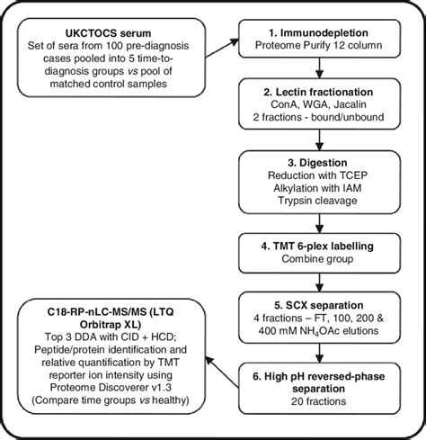 Proteomic Workflow For The Discovery Of Serum Biomarkers Using Download Scientific Diagram