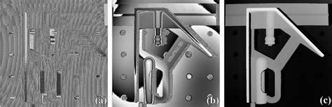 Spatial Fourier Spectra Of The Fringe Patterns Modulated By The Download Scientific Diagram