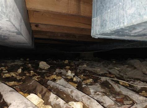 Ayers Basement Systems Before And After Photo Set Cleanspace Transforms