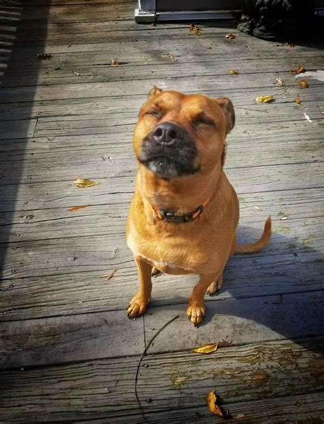 My Favourite Picture Of My Dido Not White Flag Dido Carthaginian Dido