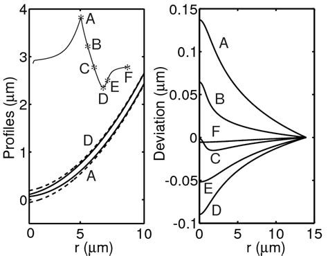 13 Profiles Solid With Parabolic Approximation Dashed Left And Download Scientific