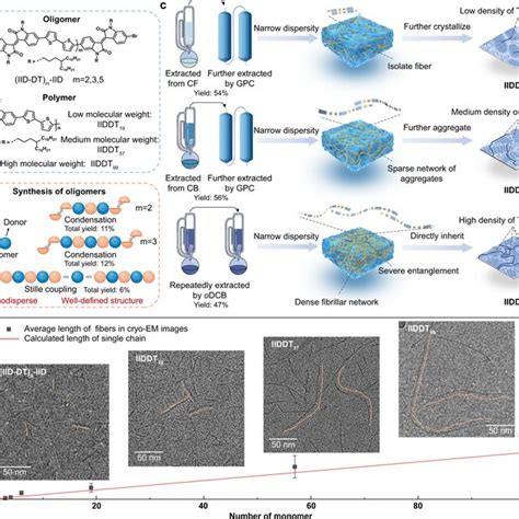 Different Chain Conformations Of Iid Based Oligomers And Polymers A Download Scientific Diagram