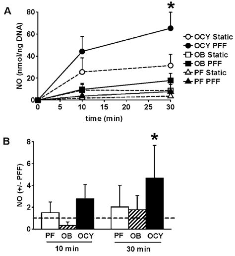 Effect Of Pulsating Fluid Flow On NO Production By TNF Treated Download Scientific Diagram