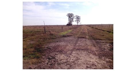 Pictures Of Angelica Sin