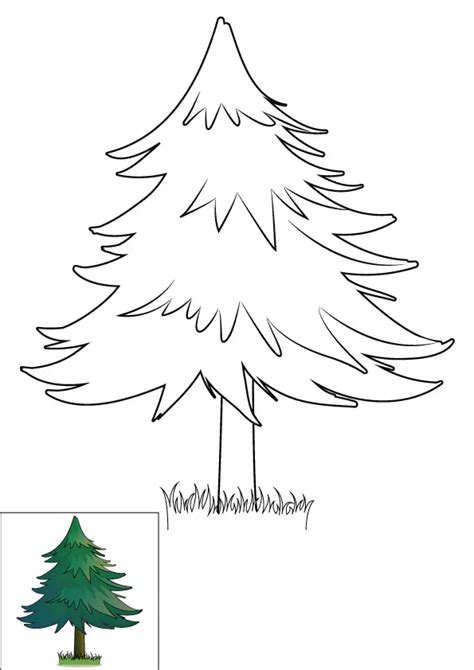 How To Draw A Pine Tree Step By Step