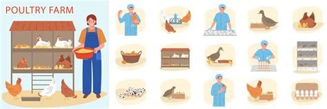 가금류 농장 달걀 생산 구성은 다양한 국내 조류와 노동자들이 평평하게 격리된 벡터 삽화로 설정되었습니다 무료 벡터