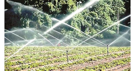 EК одобри държавна помощ от 16 млн лв за напояване за 2024 г Български Фермер