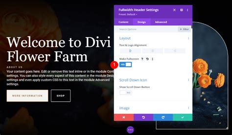 How To Style An Image In Your Divi Fullwidth Header Module Divimode
