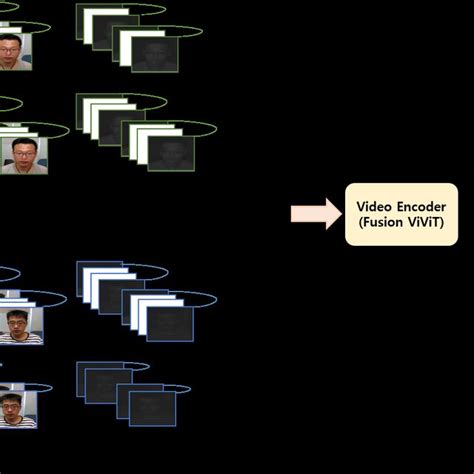 architecture of the rgb nir fusion vivit download scientific diagram