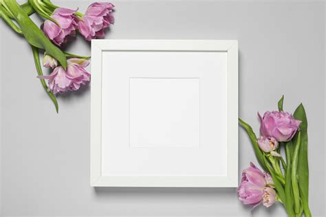 빈 사진 프레임과 밝은 회색 배경에 아름다운 튤립 꽃이 놓여 있다 디자인을 위한 공간 0명에 대한 스톡 사진 및 기타 이미지 0명 계절 공란 Istock
