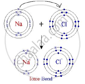 Draw Orbit Structure And Electron Dot Diagram Of Naci Mgcl And Cao Chemistry Shaalaa