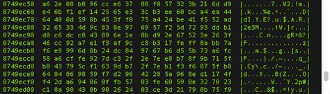 Sqa Automation Engineer