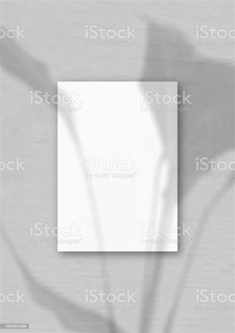 회색 벽 배경에 흰색 질감 A4 용지의 수직 시트입니다 식물 그림자와 모형 오버레이 이국적인 식물의 그림자를 비추는 자연광 0명에 대한 스톡 벡터 아트 및 기타 이미지