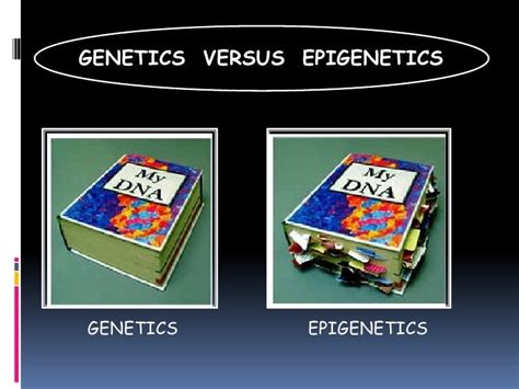Epigenetics Vs Genetics