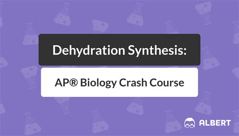 Dehydration Reaction Definition And Examples Biology