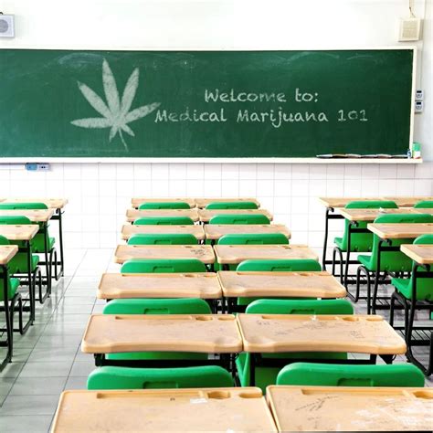 Proponen Reforzar Derecho Al Cannabis Medicinal En Escuelas De Florida