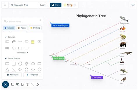 How To Draw A Morphological Tree Diagram