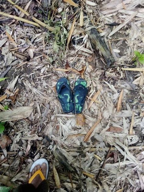 နန့်မွန်းမြို့အနီးရှိ တောစပ်တစ် နေရာတွင် အမျိုးသမီးငယ်နှစ်ဦး သတ်ဖြတ်ခံရ The 74 Media