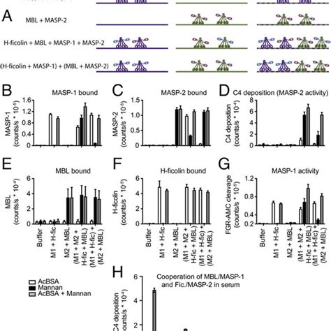 Correlation Between Mbl And Masp 1 In The Control Group N 20 Download Scientific Diagram