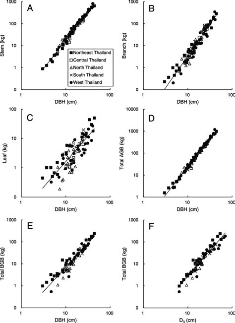 Relationships Between Tree Diameter At Breast Height Dbh And A Stem Download Scientific