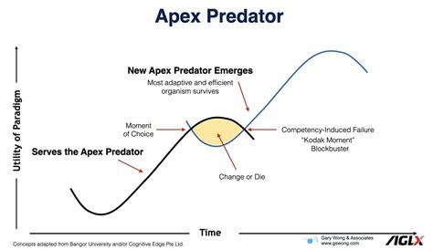 Survivorship Curve Excel How To Make A Line Graph In 2007 Chart Line Chart Alayneabrahams