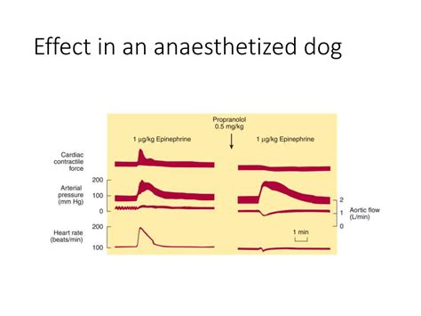 Beta Adrenergic Blockers Pptx