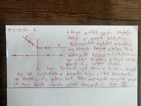 2019 წლის ფიზიკა ტუღუში შენგელია შენგელია ღონღაძე Facebook