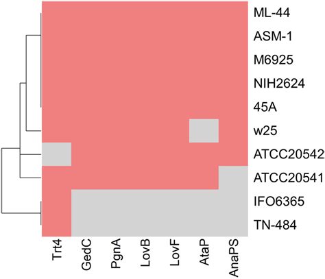 Heatmap Represents The Presence Pink Or Absence Gray Matrix Of Download Scientific Diagram
