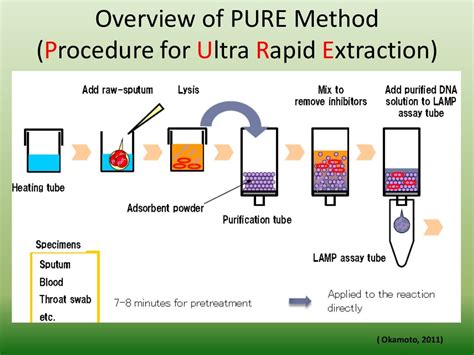 Lamp Loop Mediated Isothermal Amplification