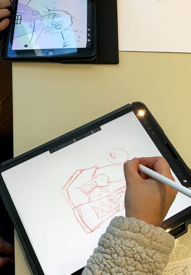 Learn Procreate For Beginners To Intermediates Online Class Ts