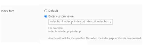 Plesk 403 Forbidden Access Is Denied Resolved