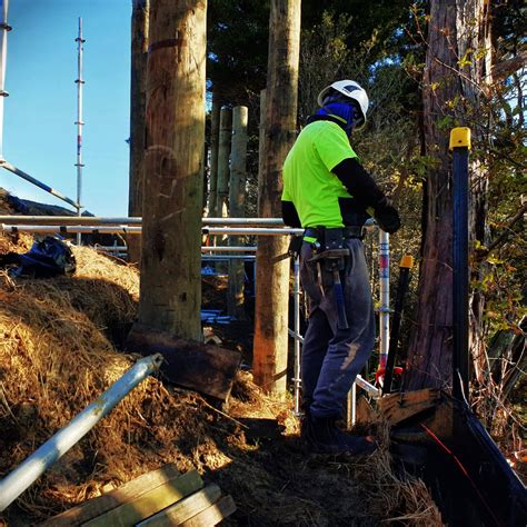 Scaffolding Safety Precautions