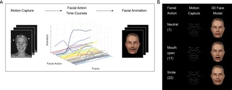 A Schematic Overview Of The Facial Animation Procedure Shown For The Download Scientific