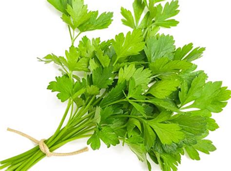Parsley