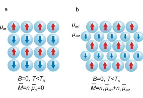 14 Types Of Magnetic Materials You Need To Know