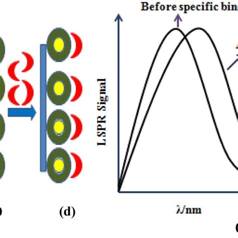 Fabrication And Their Response Of Lspr Biosensors Based Upon Refractive