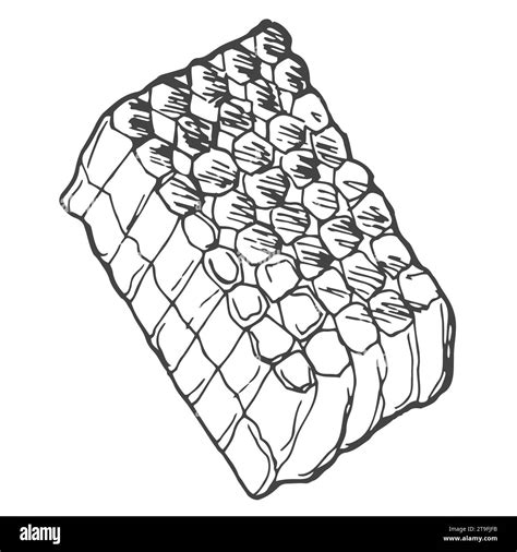 Doodle Honeycomb On White Background Stock Vector Image And Art Alamy