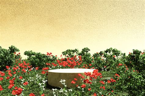 제품 전시를 위한 빨간 양귀비 꽃과 열대 숲에 3d 렌더링 플랫폼 및 자연 연단 배경 빈 쇼케이스 모의 템플릿 또는 빈 둥근 무대와 화장품 프리젠 테이션 0명에 대한 스톡