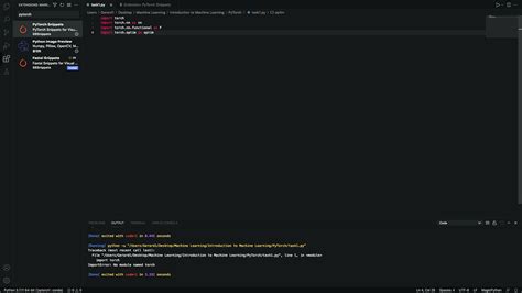No Module Named Torch In Vscode Pytorch Forums