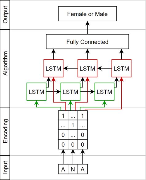 Bidirectional Long Short Term Memory Model Download Scientific Diagram