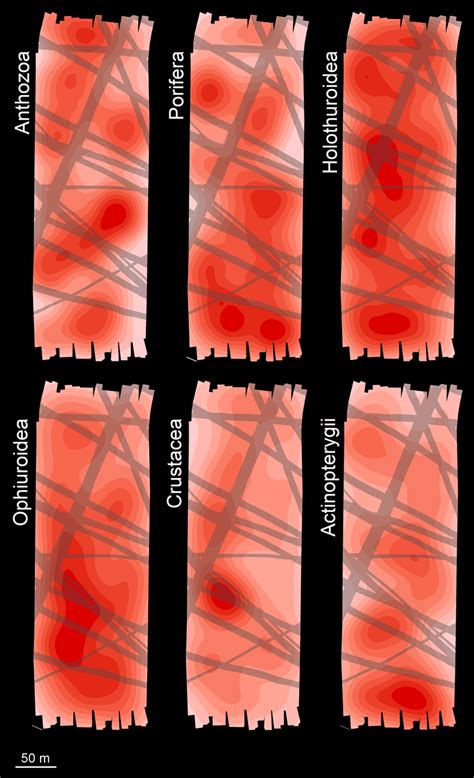 Heat Maps Showing The Distribution Of Density Of The Six Most Dominant Download Scientific