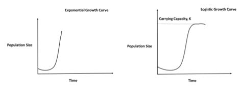 J Shaped Curve Population Growth And Resource Availability Ap